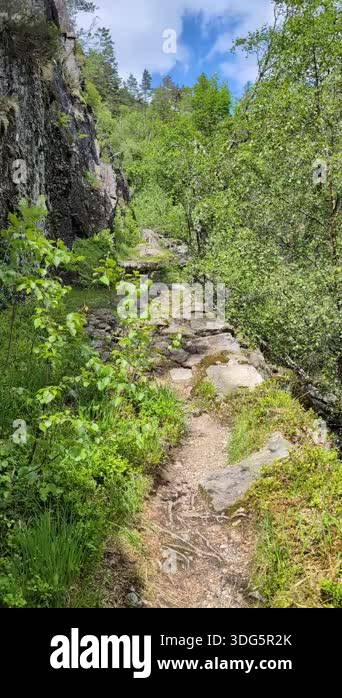 White water rushing down rocky slope next to lush green forest with ...