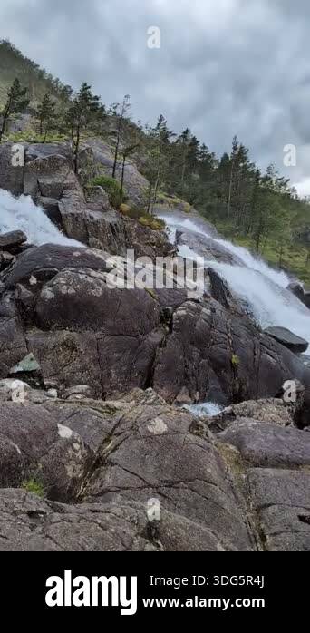 White water rushing down rocky slope next to lush green forest with ...
