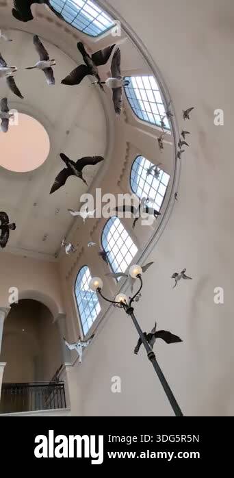 Grand hall atrium Stock Videos & Footage - HD and 4K Video Clips - Alamy