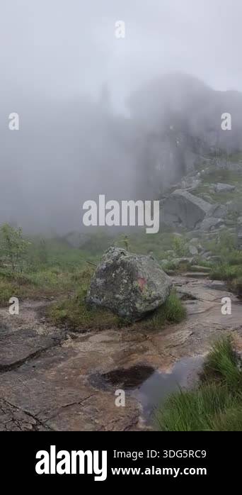 A winding stone path ascends a mysterious mountain landscape ...