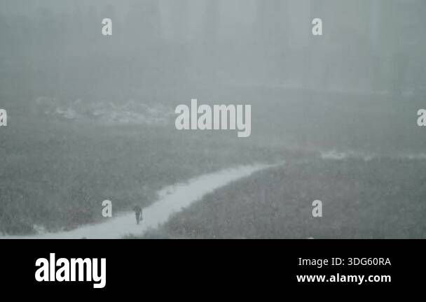 A man is walking along a snow-covered road in winter. Snow is falling ...