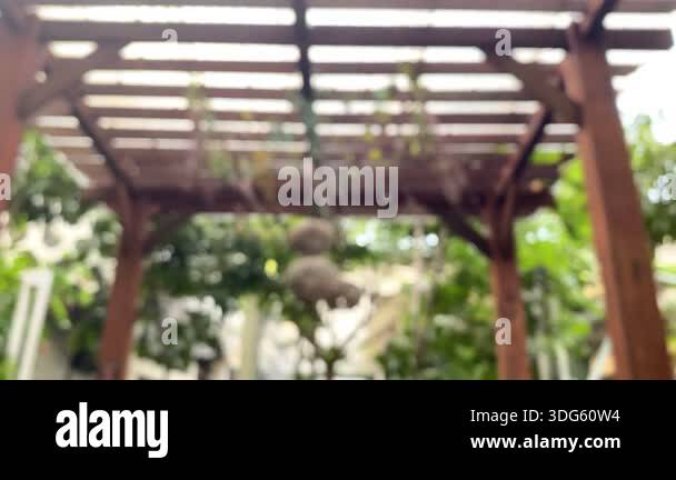 Defocused wooden pergola covered with vines and bamboo lanterns swaying ...