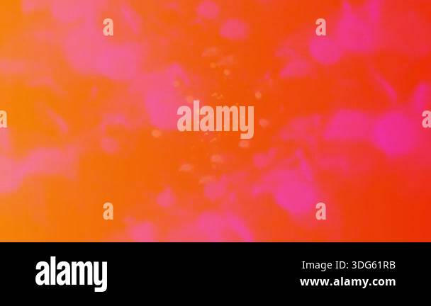 Vibrant pink and orange abstract background with dynamic bokeh lights ...