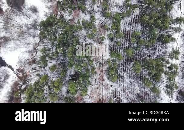 Cold season forest landscape from above Stock Video Footage - Alamy