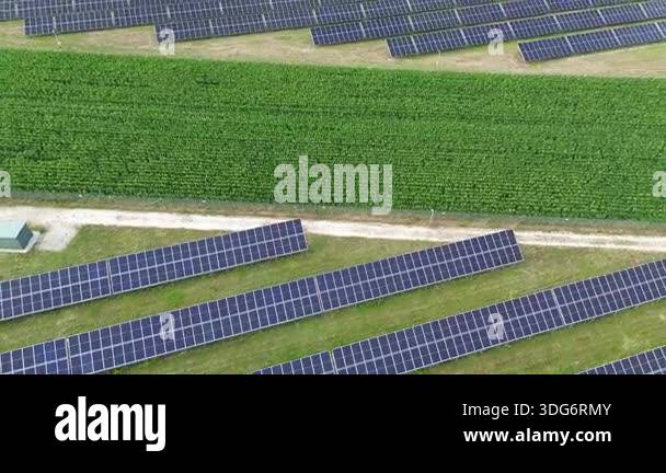 Renewable energy field under bright sunlight Stock Video Footage - Alamy