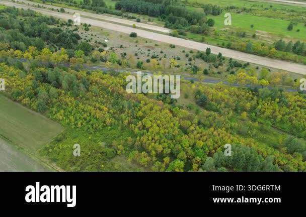 Peaceful forest scenery with empty road Stock Video Footage - Alamy