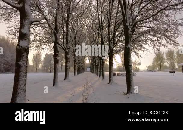 Walking along a snow-covered path through a forest during winter. High ...