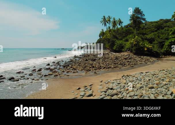 Rocky tropical shoreline with palm trees and gentle turquoise ocean ...