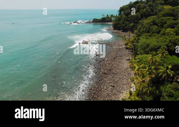 Rocky coastline with turquoise Pacific Ocean water and palm trees in ...