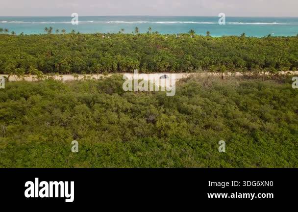 Distant view of people and car parked on roadside near forest and beach ...