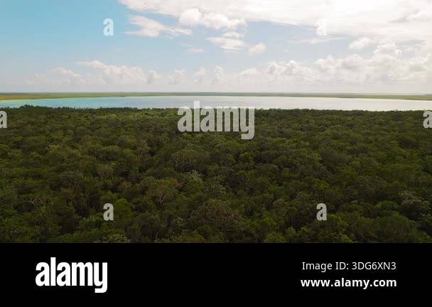 Dense tropical forest near a bright blue coastal lagoon lake in Tulum ...