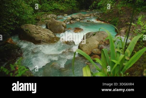Turquoise river winds past mossy rocks beneath dense rainforest canopy ...