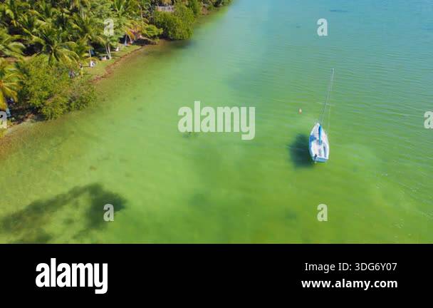 Sailboat anchored near green shore of Bacalar lagoon surrounded by palm ...