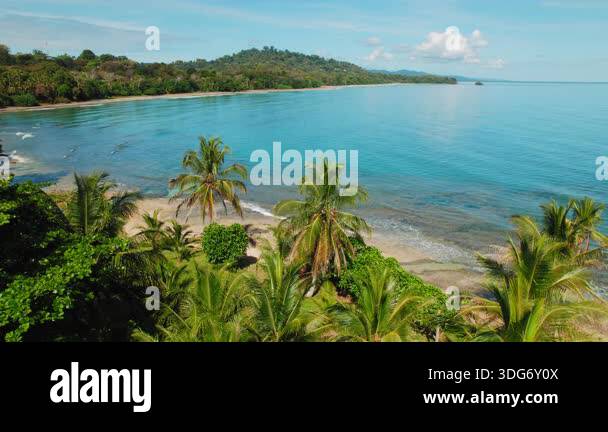 Palm trees above bright turquoise bay with distant hills on a sunny ...