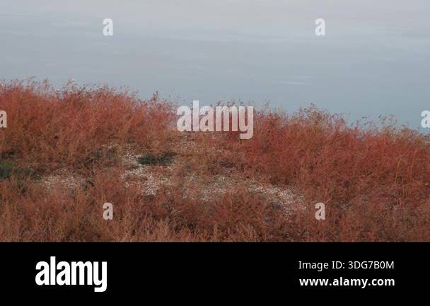 Climate change, ecological issue, water shortage. Draught Stock Video ...