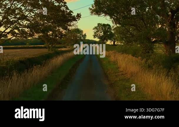 Moving along narrow country road surrounded by fields and trees POV ...