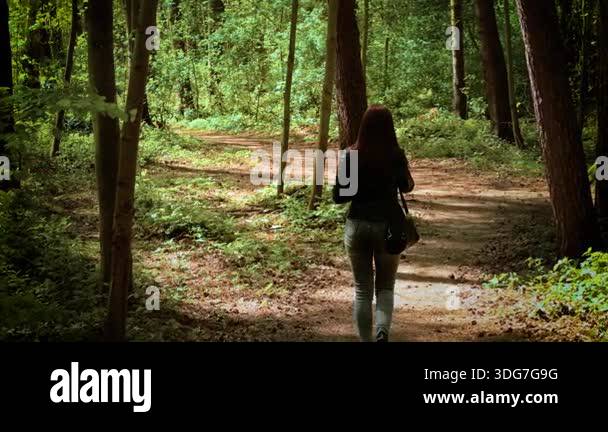 Woman walking alone on forest trail lined with trees and foliage ...