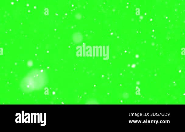 Real snow gently falling on a green screen background, ideal for chroma ...