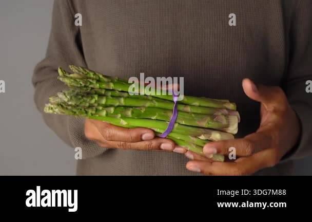 The recipe band Stock Videos & Footage - HD and 4K Video Clips - Alamy