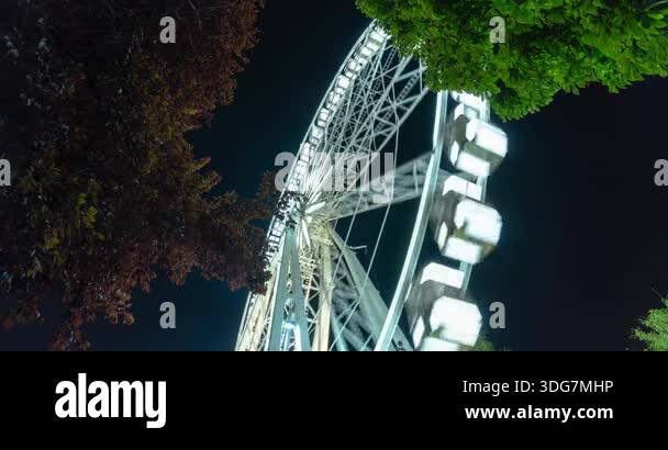 Budapest, Hungary - August 30, 2024: Peering Up Through the Branches: A ...