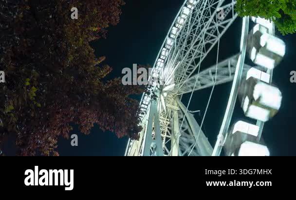 Budapest, Hungary - August 30, 2024: Peering Up Through the Branches: A ...