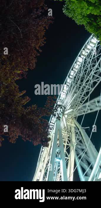 Budapest, Hungary - August 30, 2024: Peering Up Through the Branches: A ...