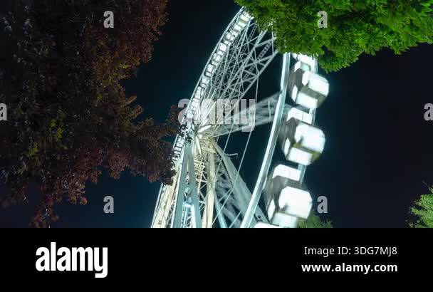 Budapest, Hungary - August 30, 2024: Peering Up Through the Branches: A ...