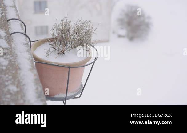 Close-up of a terracotta flower pot on a balcony railing during heavy ...