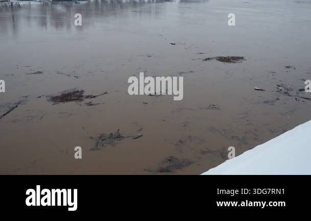 Turbulent waters of Sava River in Serbia, showcasing debris and ...