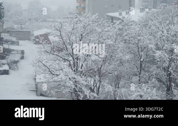 A Winter Snowy Day In The City, Trees Covered In Snow, Heavy Snowfall ...