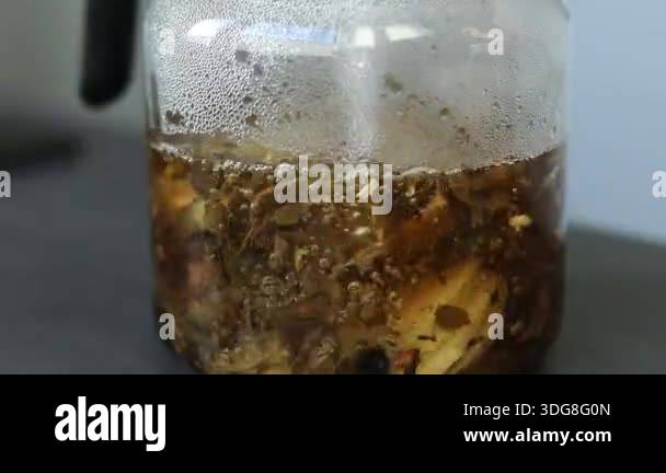Close up of pouring boiled water into a glass tea pot, homemade hot ...