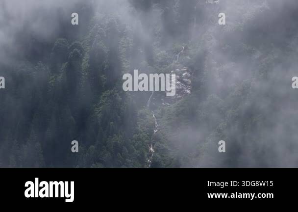Stunning aerial perspective of dense green treetops and a cascading ...