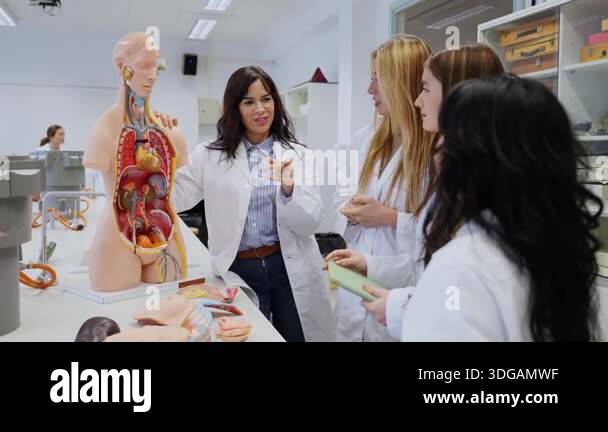 Medical students learning about internal organs with a professor and an ...