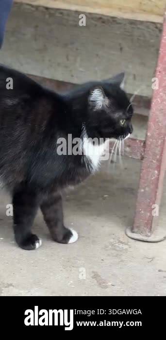 Rustic Metal Table Leg in Industrial Setting Stock Video Footage - Alamy