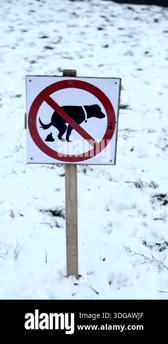 No Dog Waste Sign in Snowy Park Environment Stock Video Footage - Alamy
