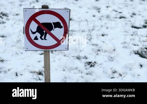 No Dogs Allowed Sign in Snowy Landscape Stock Video Footage - Alamy