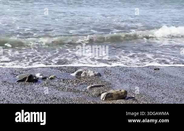 Sea waves gently rolling onto a rocky shore with small stones. Tranquil ...