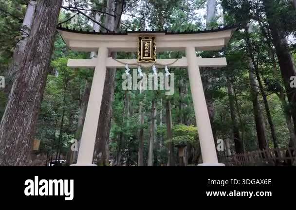 Sacred White Torii Gate Surrounded by Lush Forest in Japan. High ...
