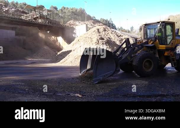 Powerful wheel loader systematically sorting and transferring wood ...