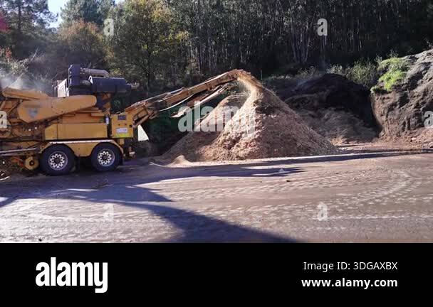 Industrial wood shredder converting waste wood into biomass, grinding ...