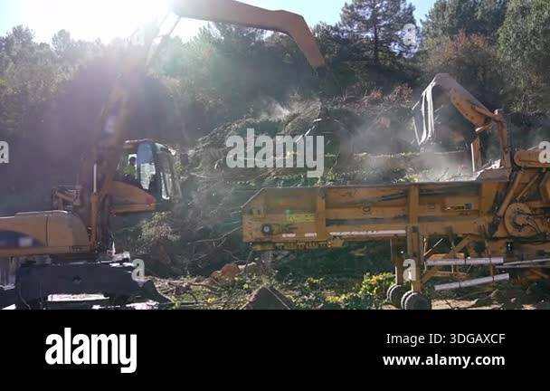 Wood waste recycling process showcasing industrial excavator loading ...