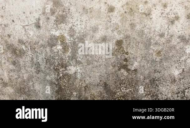 Close-up footage of a weathered, rough concrete wall with stains ...