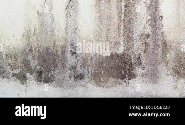 Close-up footage of a weathered, rough concrete wall with stains ...
