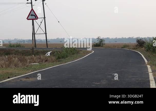 Empty rural road curving through open farmland with a roadside traffic ...