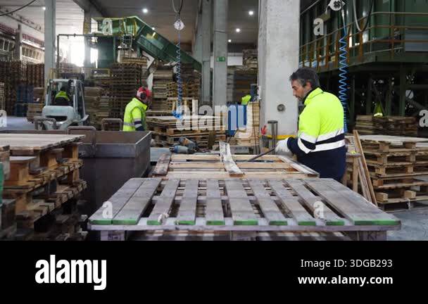 Skilled carpenter carefully disassembling wooden pallets using manual ...