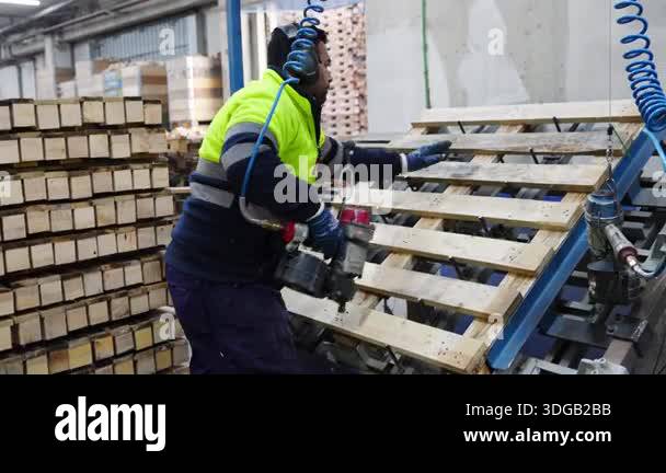 Carpenter uses pneumatic nail gun to assemble wooden pallets in a ...