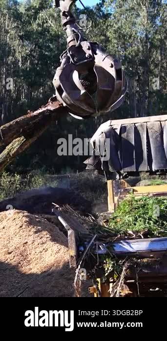 Slow motion video of a claw crane loading wood waste onto a truck ...