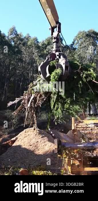 Green waste processing for pallet recycling, biomass production, and ...