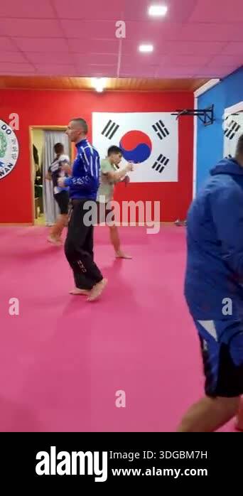 Men Training in Martial Arts Gym Shadow Boxing and Using Battle Ropes ...