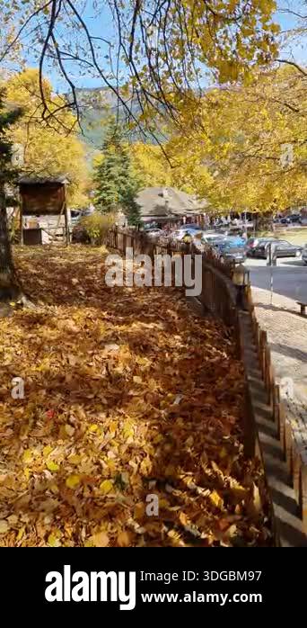 Beautiful autumn scenery in Metsovo Greece with fallen yellow leaves ...